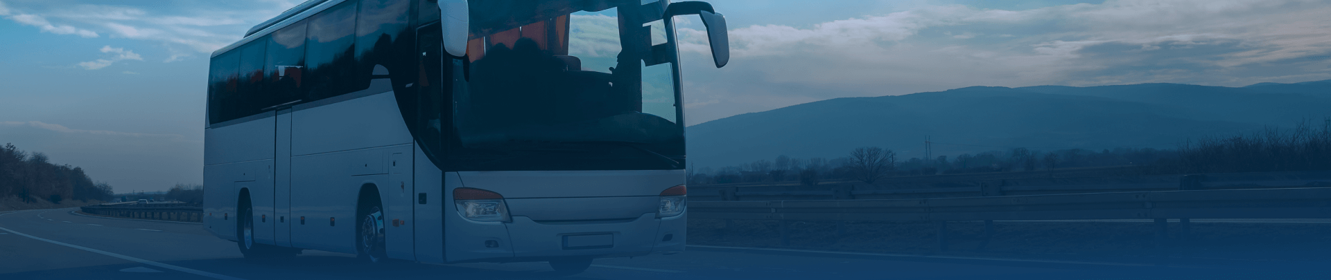 Ônibus para Turismo - Aluguel de ônibus e Micro, Locação de Van - T4 ...